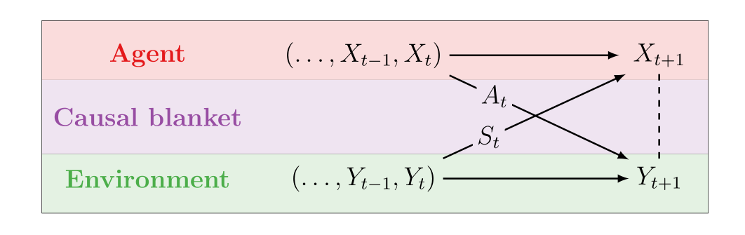 Causal blankets: Theory and algorithmic framework | Pedro Mediano